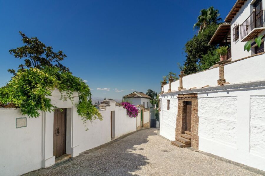 Alhambra, Nasrid Palaces and Albaicin Tour - Who Is This Tour Best For?