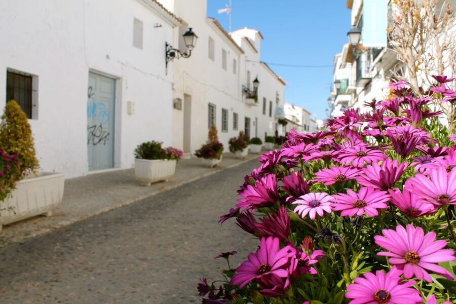 Alicante Charming Villages Tour: Villajoyosa and Altea - What to Expect: A Day of Charm and Flavor