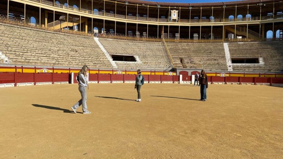 Alicante: Private Guided Visit to Alicante Bullring & Museum - The Practical Side: What You Need to Know