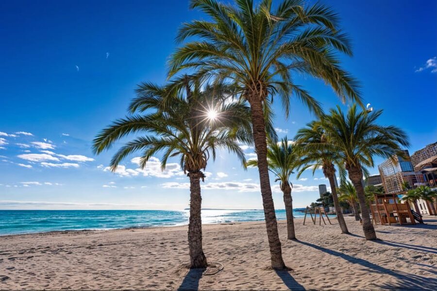 Alicante: Spot the Mediterranean by E-bike - What the Tour Covers