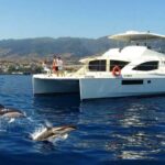All Inclusive Whale and Dolphin Watching Luxury Tour - An In-Depth Look at the Madeira Whale and Dolphin Tour