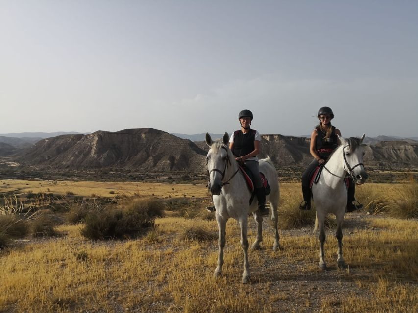 Almeria: Horse Riding Tour Through the Tabernas Desert - The Itinerary: What to Expect