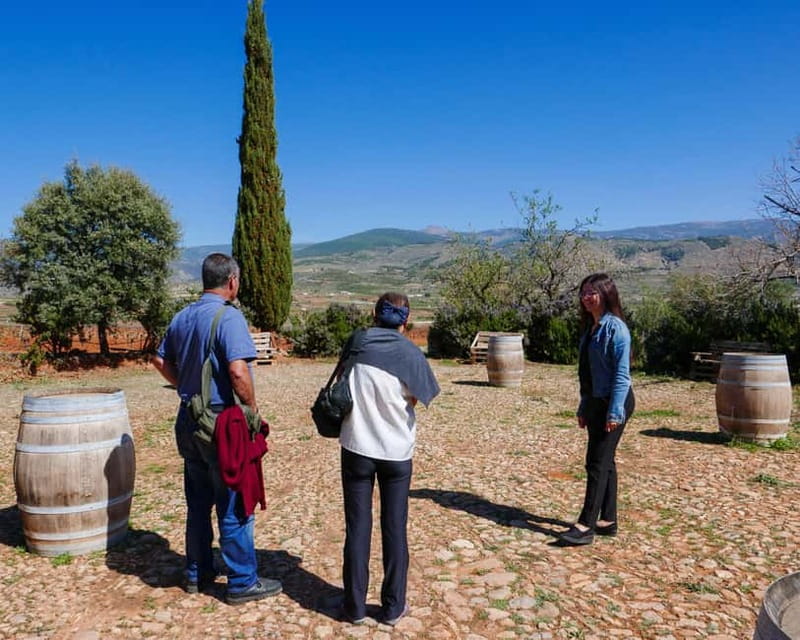 Almería: Wine tour and aperitif from La Alpujarra in Winery - Discover the Flavors of Andalusia: A Detailed Review of the Almería Wine Tour and Aperitif