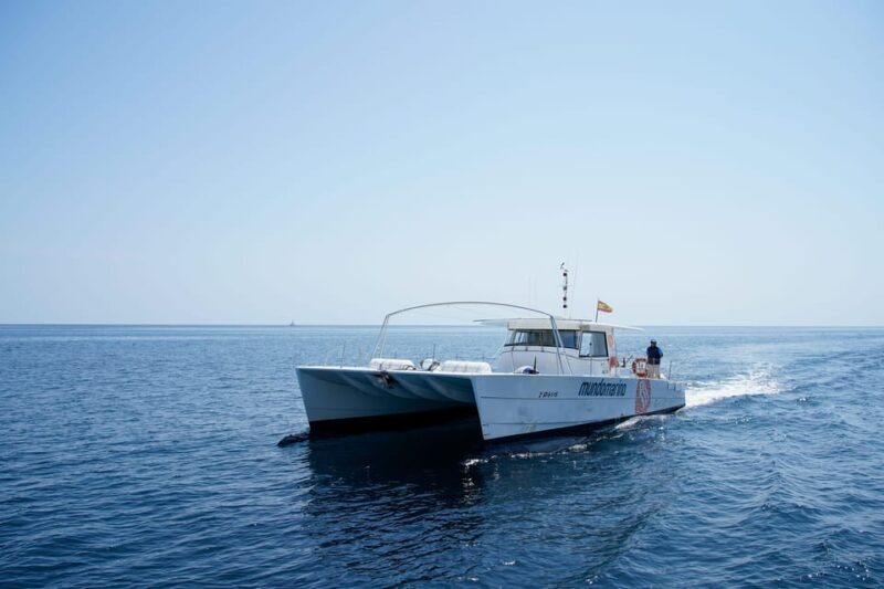 Altea: Motor catamaran with optional lunch and swimming stop - Key Points