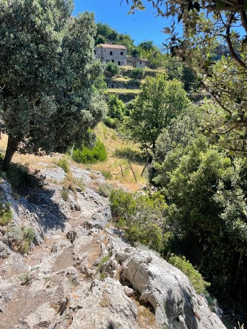 Amalfi Coast: The Path of Gods - Pricing and Value