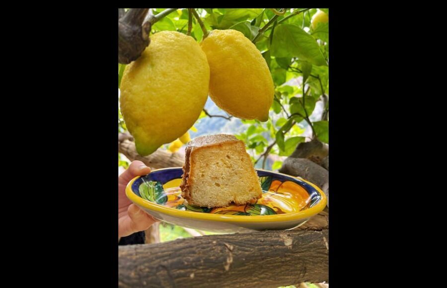 Amalfi Organic Lemon Tour & Tasting in the Historical Garden - The Sum Up