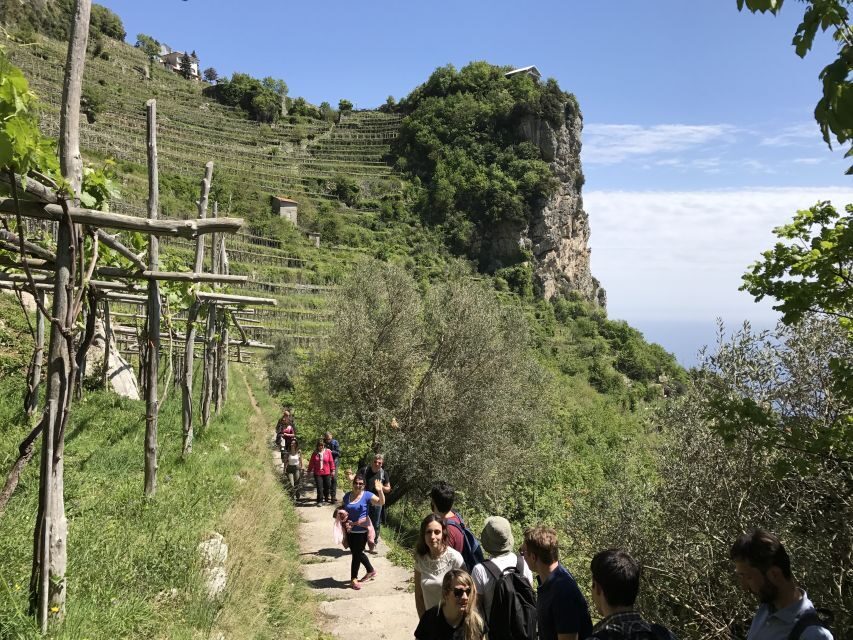 Amalfi: Walking tour between Furore vertical Vineyards - Key Points