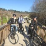 Amarante: e-Bike Tour and Vinho Verde - from Porto - The Itinerary Breakdown