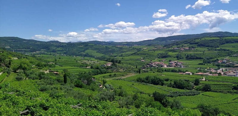 Amarone vertical tasting: A unique experience tasting different vintages of Amarone - An In-Depth Look at the Tour Itinerary