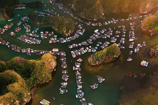 Amazing day - Boat trip discover real Ha Long Bay and Lan Ha Bay - What to Expect on This Full-Day Tour