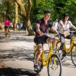 Amsterdam: 3h E-Bike Tour with break - Why a 3-Hour E-bike Tour Is a Great Choice