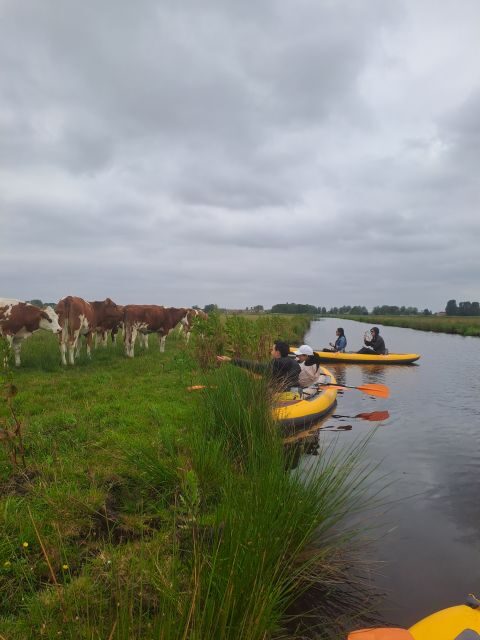 Amsterdam: Countryside Bike and Kayak Guided Tour - Why This Tour Works for Travelers