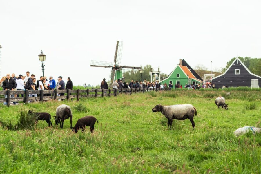 Amsterdam: Explore Zaanse Schans: Half-Day Luxury Coach Trip - A Closer Look at the Itinerary and Experience