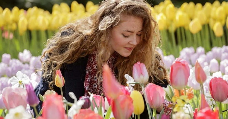 Amsterdam: Keukenhof, Tulip Farm Full-Day Tour with Cruise - Transportation and Logistical Details