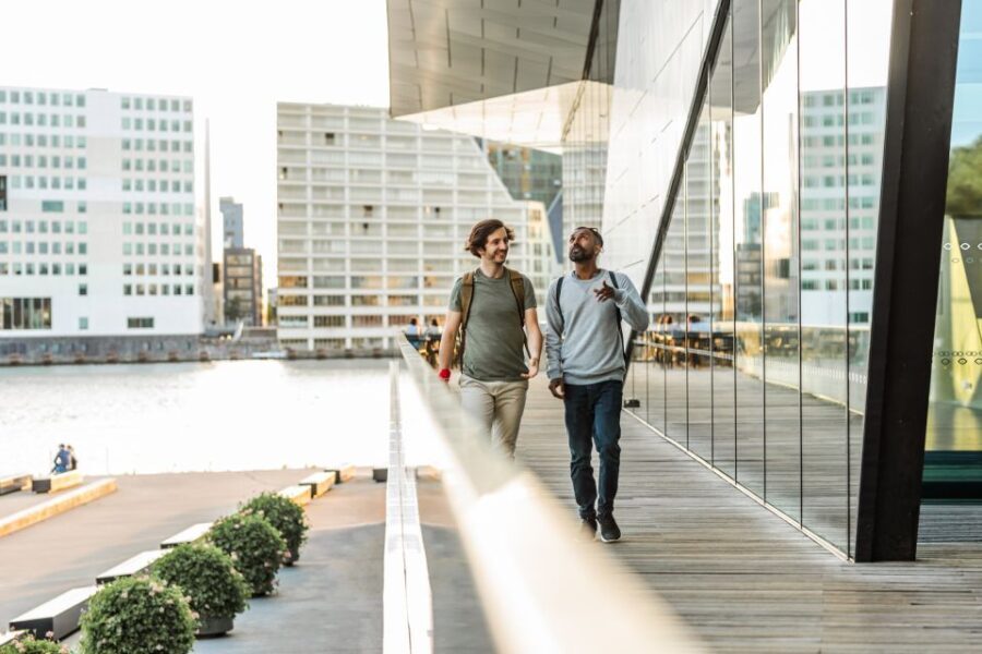 Amsterdam-Noord: 3-Hour Private Walking Tour - Practical Details and Value