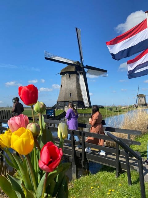 Amsterdam: Tulip Fields Day Tour with Lunch & Windmill - Pricing and Value