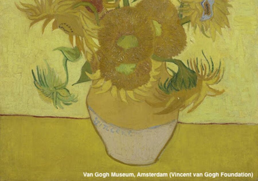 Amsterdam: Van Gogh Museum Guided Tour with Entry - The Itinerary in Detail