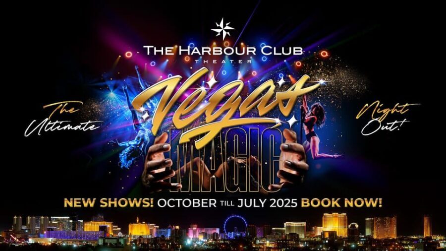 Amsterdam: VEGAS Dinner Show with 3-Course Sharing Menu - What to Expect: A Step-by-Step Breakdown