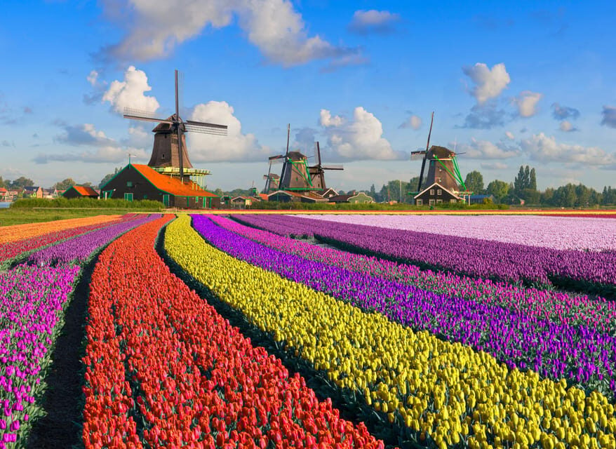 Amsterdam: Zaanse Schans, The Hague & Rotterdam Tour - Who Will Love This Tour?