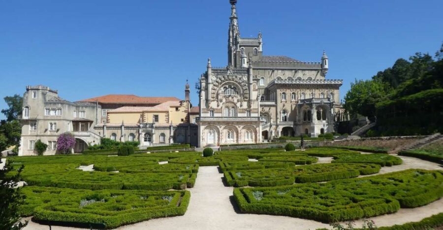 An adventure through the Forest and Palace of Bussaco - Coim - The Magnificent Bussaco Palace Hotel