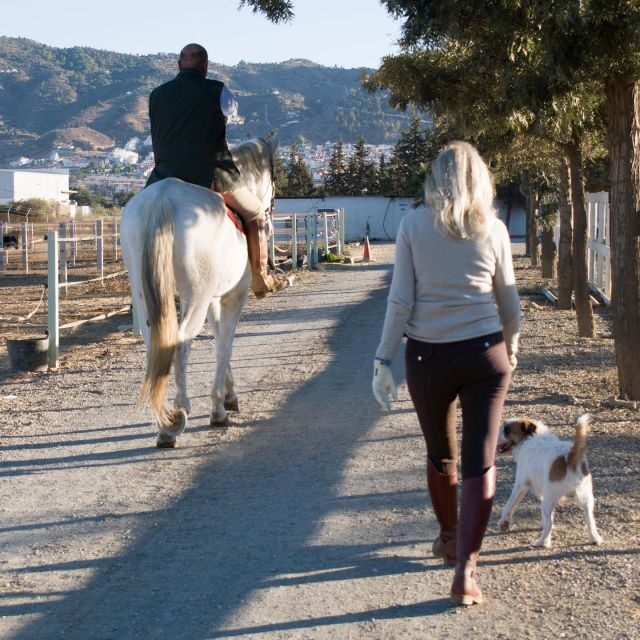 Andalucia: Horse Riding Tour with Picnic - The Horses and the Guides: The Heart of the Tour