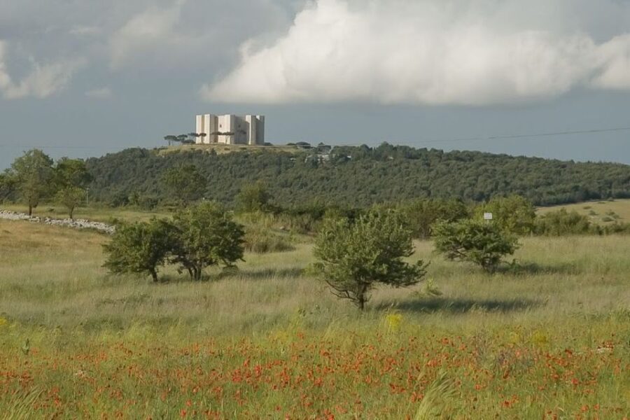 Andria: Castel Del Monte 1.5-Hour Guided Tour - The Tour Experience: What to Expect