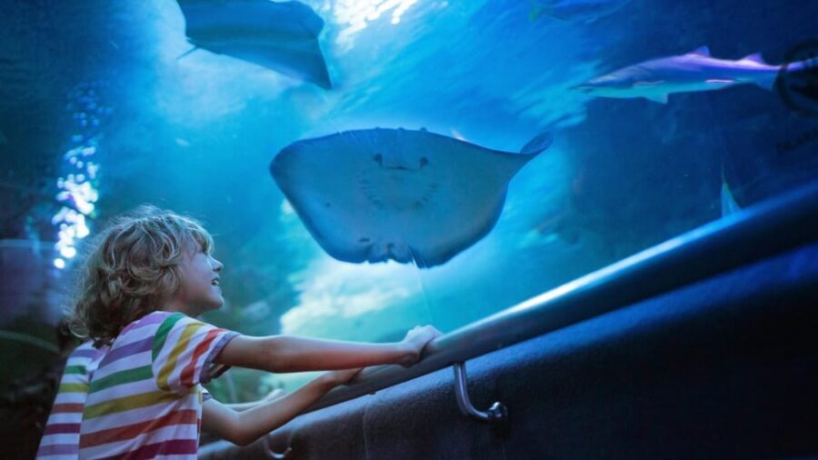 Antalya: Aquarium and Old Town Guided Tour - The Itinerary in Detail