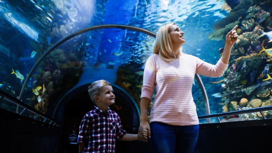 Antalya: Aquarium and Wax Museum Entry Ticket - Final Thoughts: Is It Worth It?