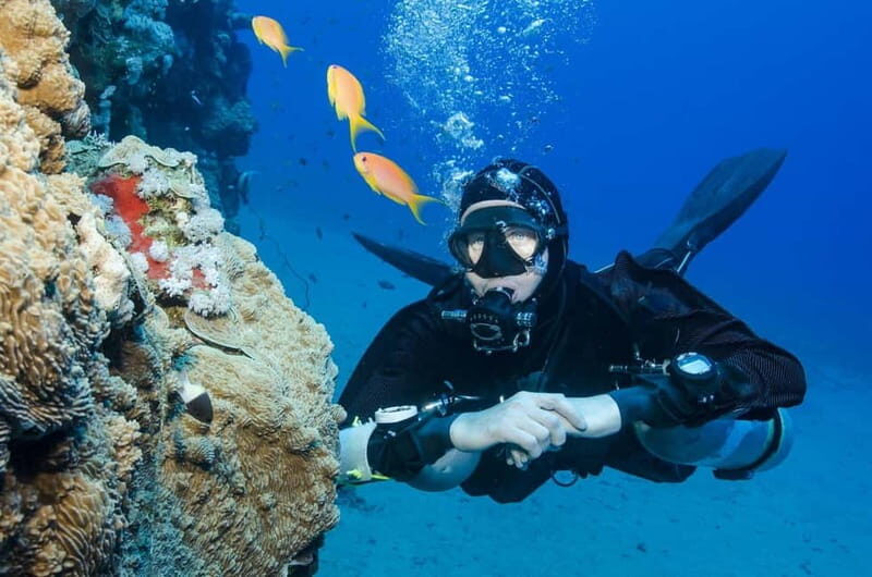 Antalya/Kemer: 2 Dives Scuba Diving Trip with Lunch - Authenticity and Highlights