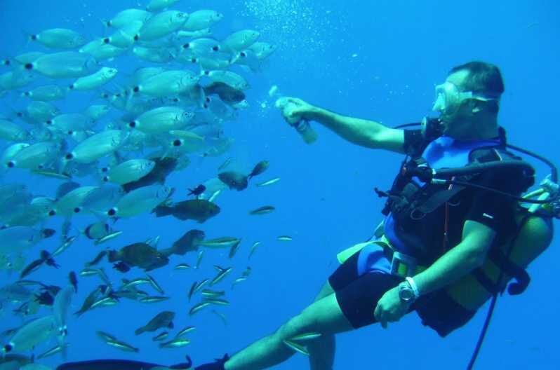 Antalya/ Kemer/ Belek Scuba Diving With Lunch & Transfer - Why This Tour Offers Good Value