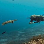 Antalya, Side and Alanya: Scuba Diving with Lunch & 2 Dives - The Itinerary: What to Expect