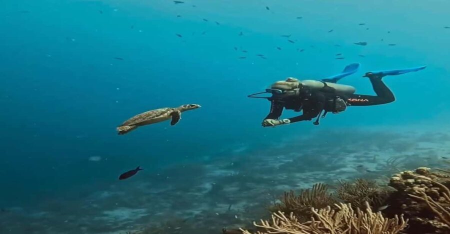 Antalya, Side and Alanya: Scuba Diving with Lunch & 2 Dives - The Itinerary: What to Expect