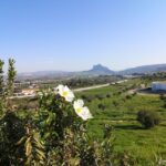 Antequera: Dolmens and El Torcal Tour with Transfer - What Travelers Love About This Tour