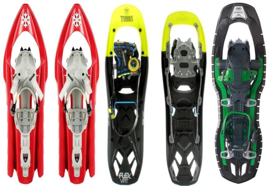 Aosta Valley: Snowshoe Lessons in Enchanted Winter Forests - Who Should Consider This Tour?