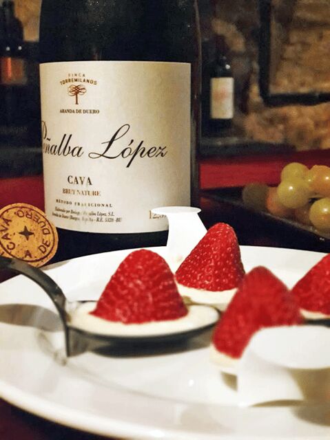 Aranda de Duero: Wine Pairing Tasting Course & Mini Tapas - Who Will Enjoy This Tour?