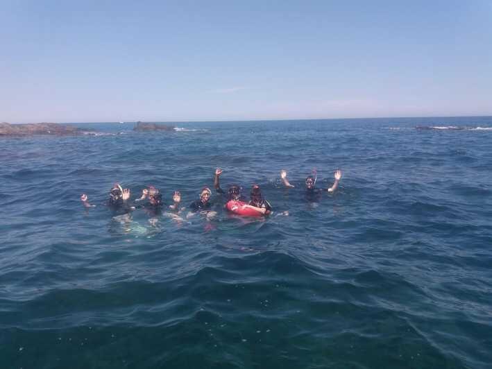 Argelès-sur-Mer: snorkeling into the Marine Natural Park - What’s Included and What’s Not