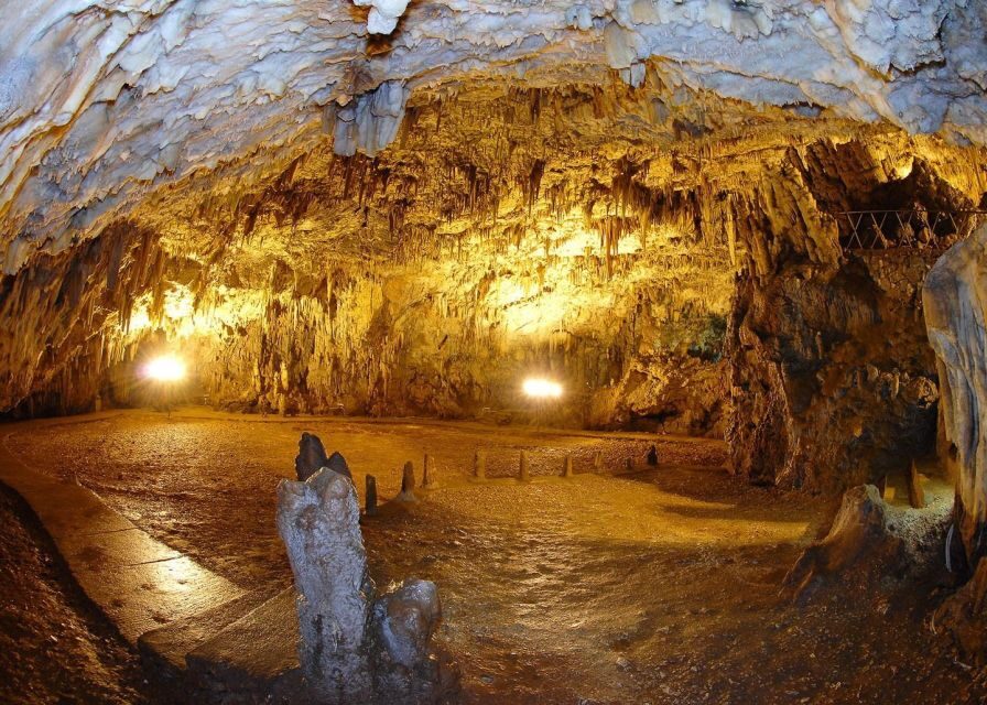 Argostoli: Explore Fiskardo, Myrtos Beach, Melissani Cave - Practical Details and Value