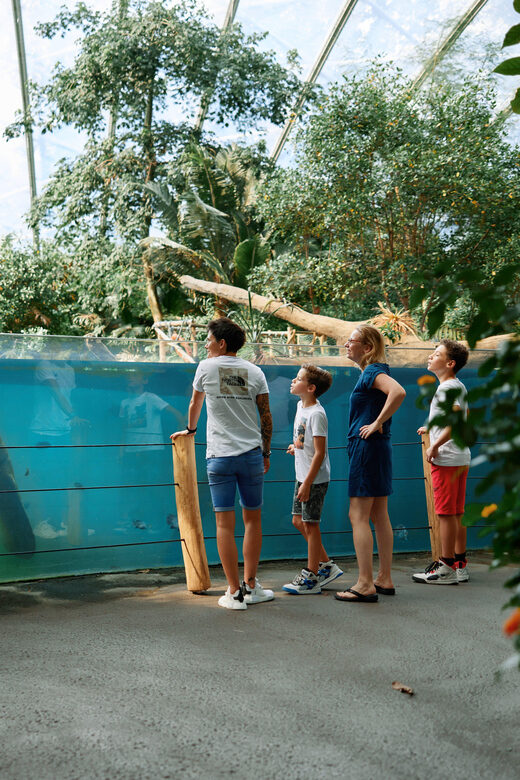 Arnhem: Burgers' Zoo Entry Ticket - Practical Details and Tips