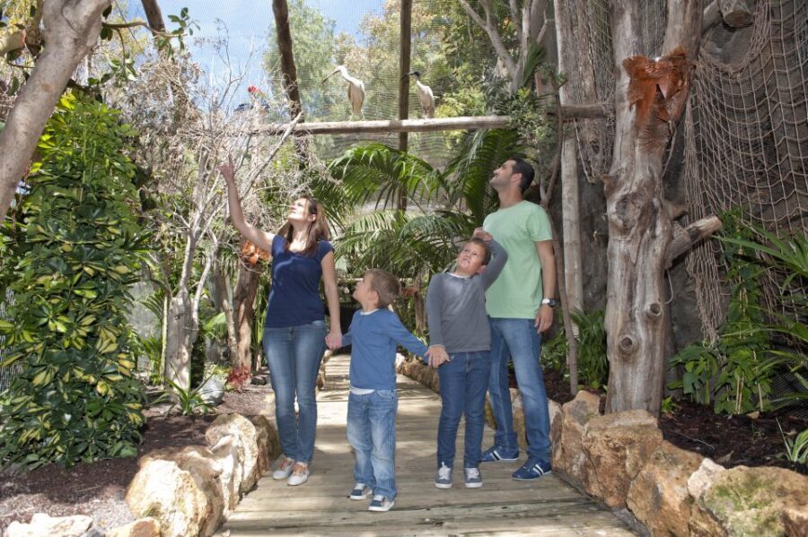 Arona: Entry Ticket to Tenerife's Jungle Park Zoo - What Do Visitors Say?
