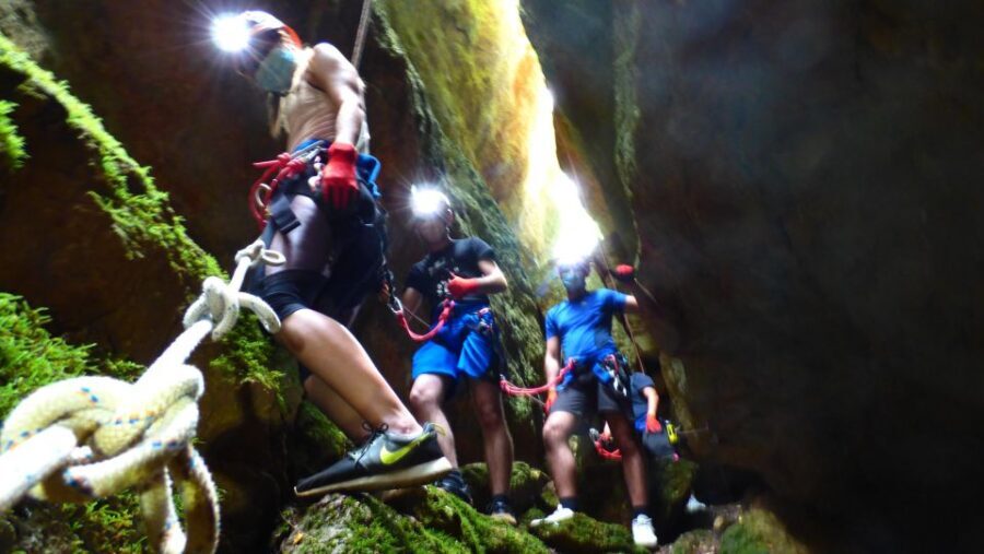 Arrábida: Arrábida Adventure Circuit Tour - Who Is This Tour Perfect For?