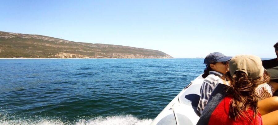 Arrábida: Boat Tour Experience / Lisbon Transfer available - The Itinerary: What You Can Expect