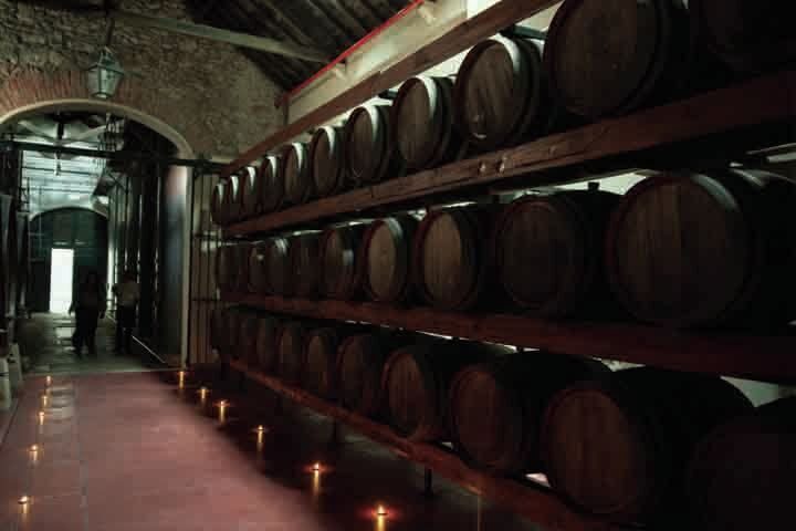 Arrábida: Full-Day Private Tour with Wine Tasting - Exploring the Coastal Wonders