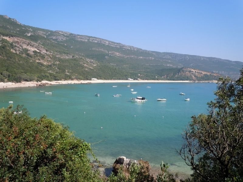 Arrabida Natural Park Full-Day Private Tour from Lisbon - What Sets This Tour Apart?
