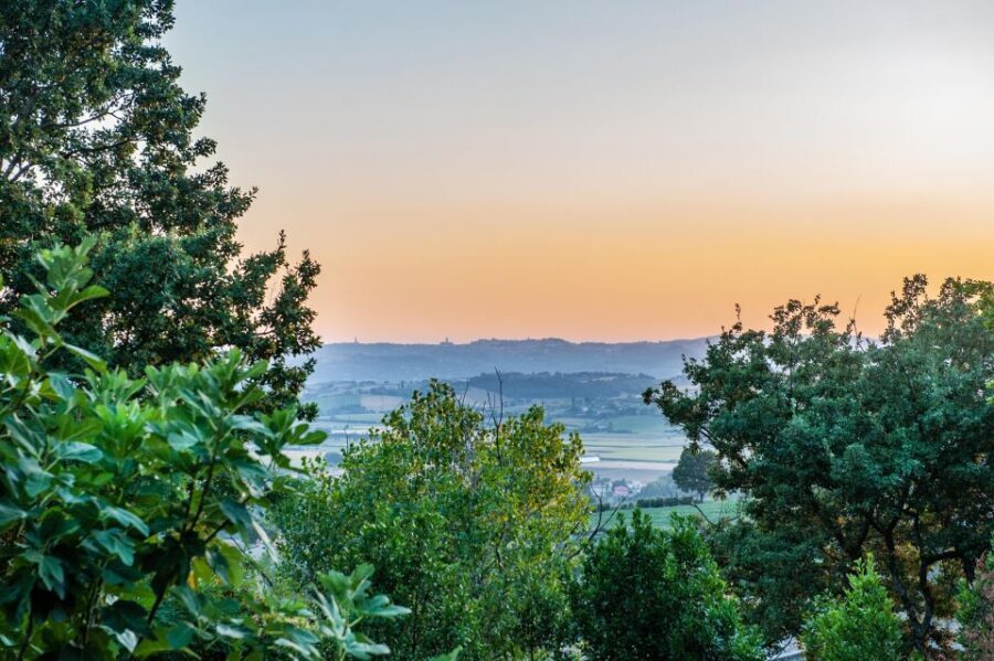 Assisi by driver and guide. Panoramic and Historical tour - Transportation, Timing, and Group Dynamics