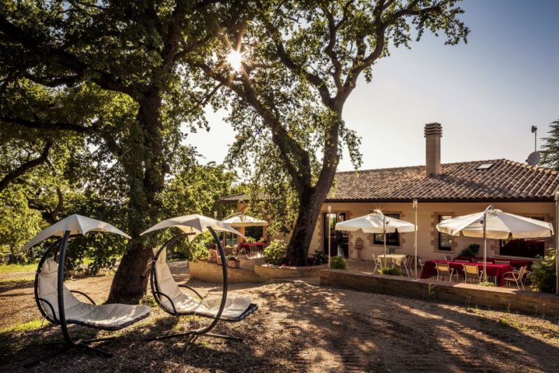 Assisi: Organic Wine and Cheese Tasting - Assisi: Organic Wine and Cheese Tasting — A Genuine Taste of Umbria