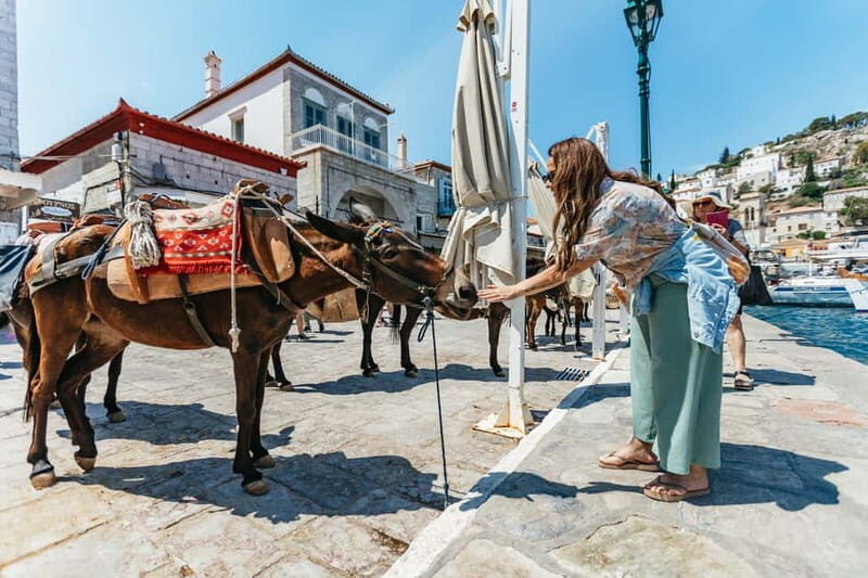 Athens Day Cruise  Since 1965 | Visit Hydra, Poros & Aegina - The Sum Up: Who Is This Tour Best For?