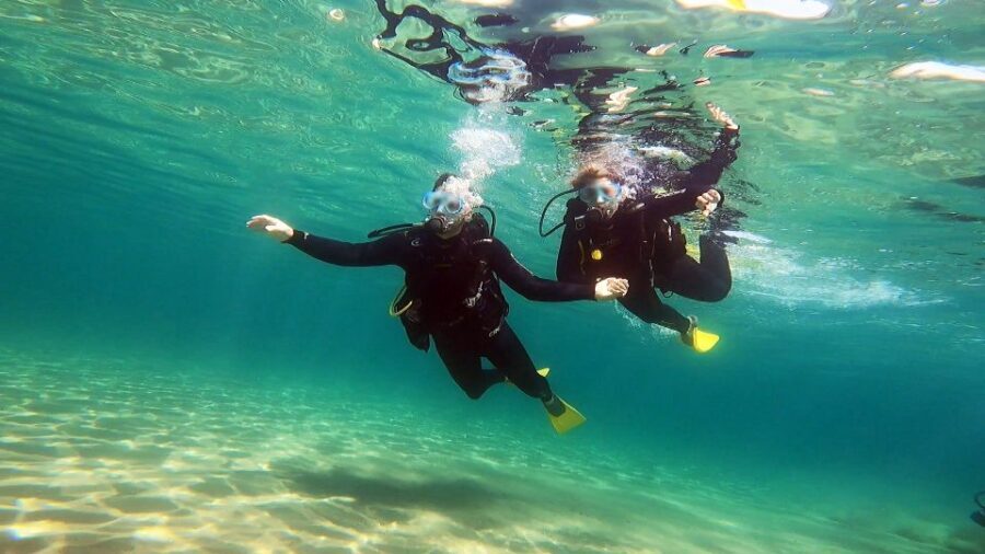 Athens East Coast: Discover Scuba Diving in Nea Makri - Who Should Consider This Tour?