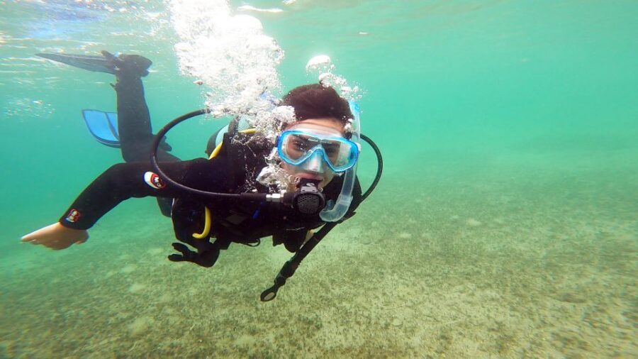 Athens East Coast: Open Water Diver Course in Nea Makri - The Learning Experience