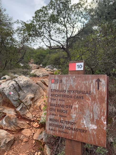 Athens: Hymettus Bat Cave Hiking Semi-Private Tour - A Close Look at the Experience