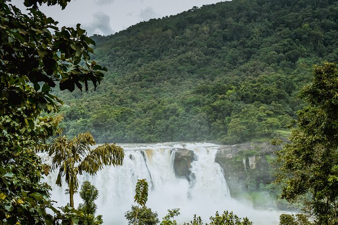 Athirapally Waterfalls from Cochin - A Well-Organized Day Trip into Kerala’s Green Heart